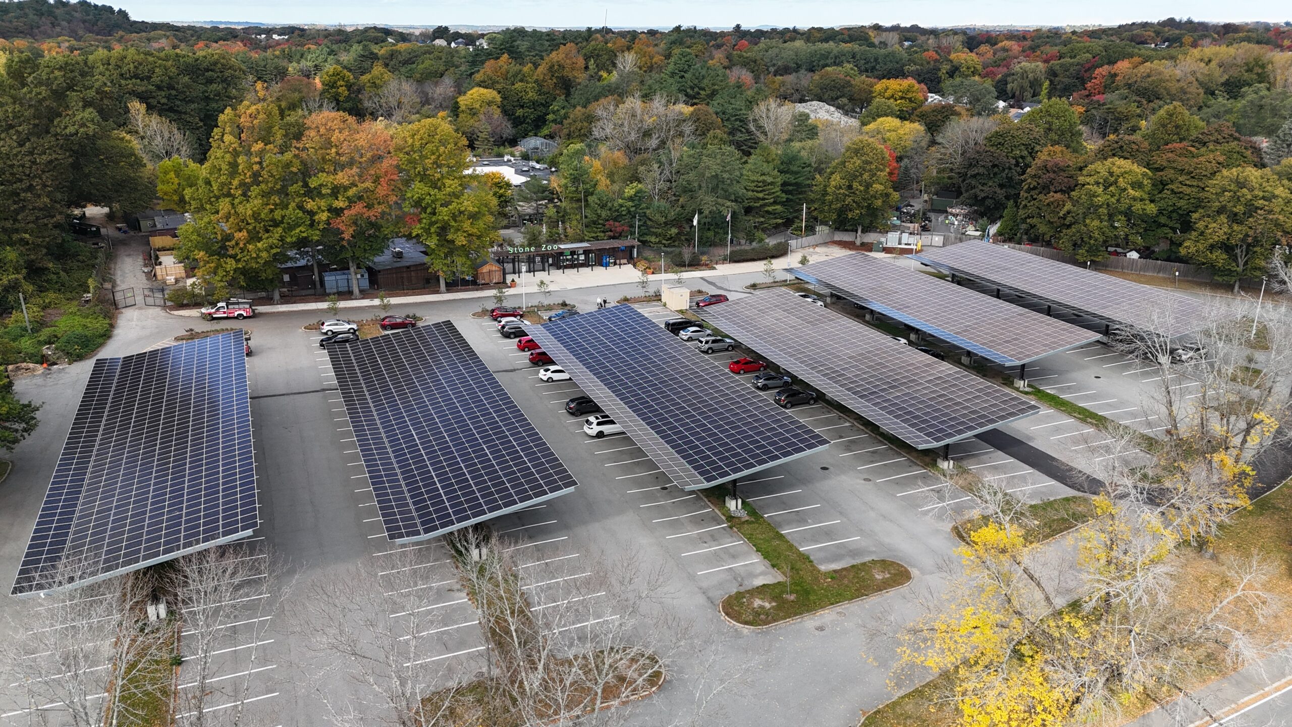 Massachusetts Zoo - Parasol Structures